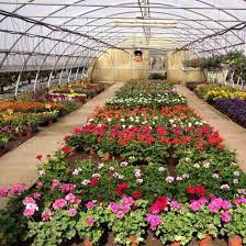 Agriculture Based Business – CHAWADI